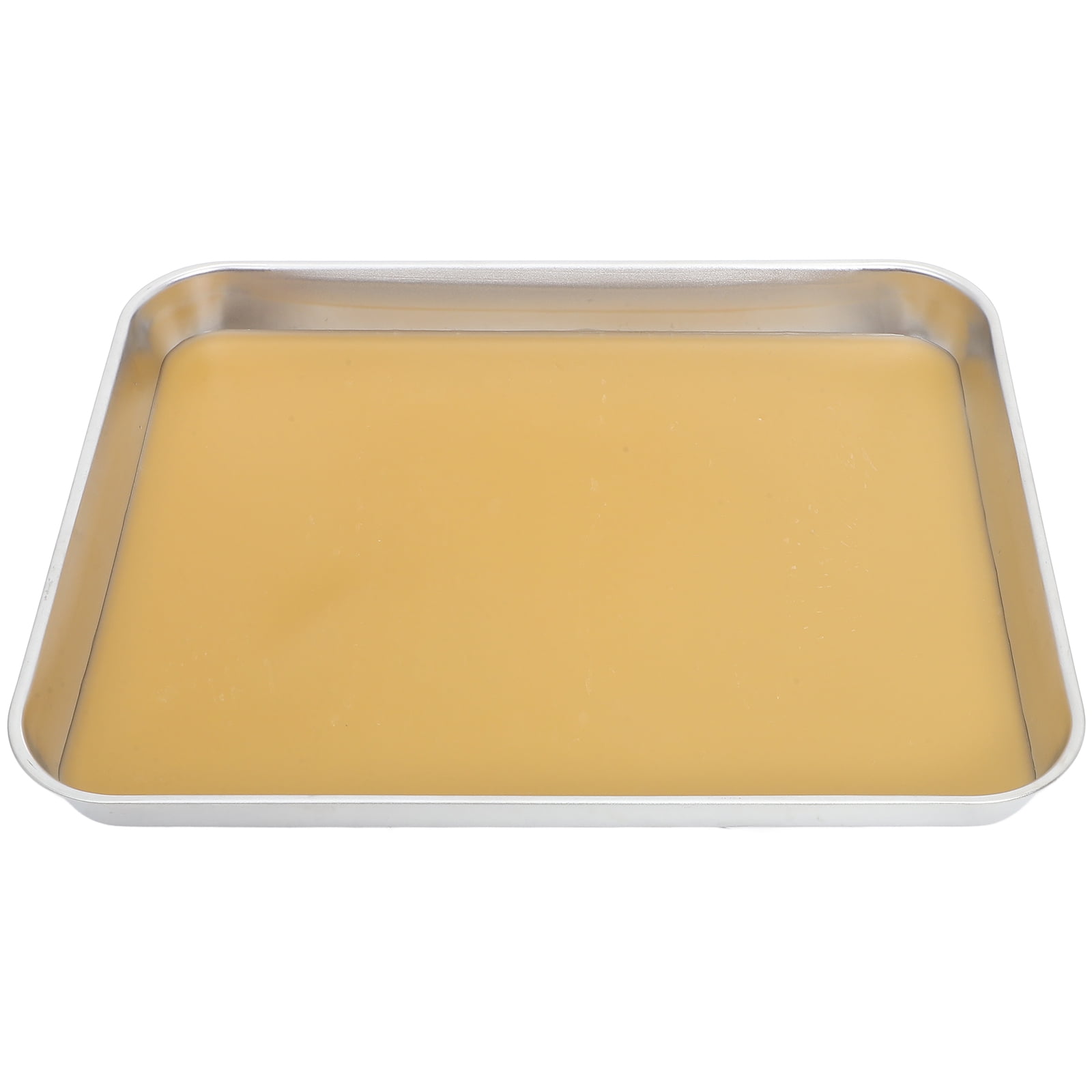 Stainless Steel Dissection Tray with Wax Lining for Biology Labs for ...