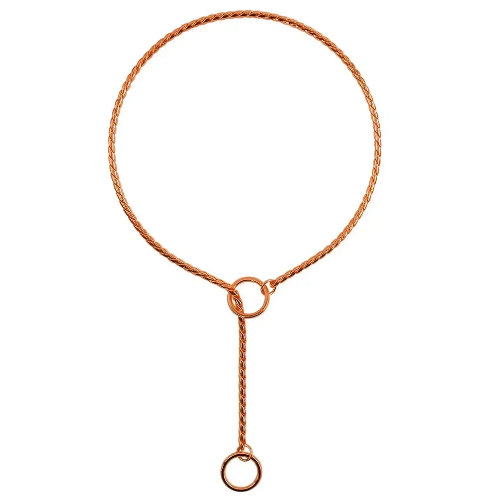 Stainless Steel Dog Choke Chain Collar Puppy Metal Snake Chain Pet Show ...