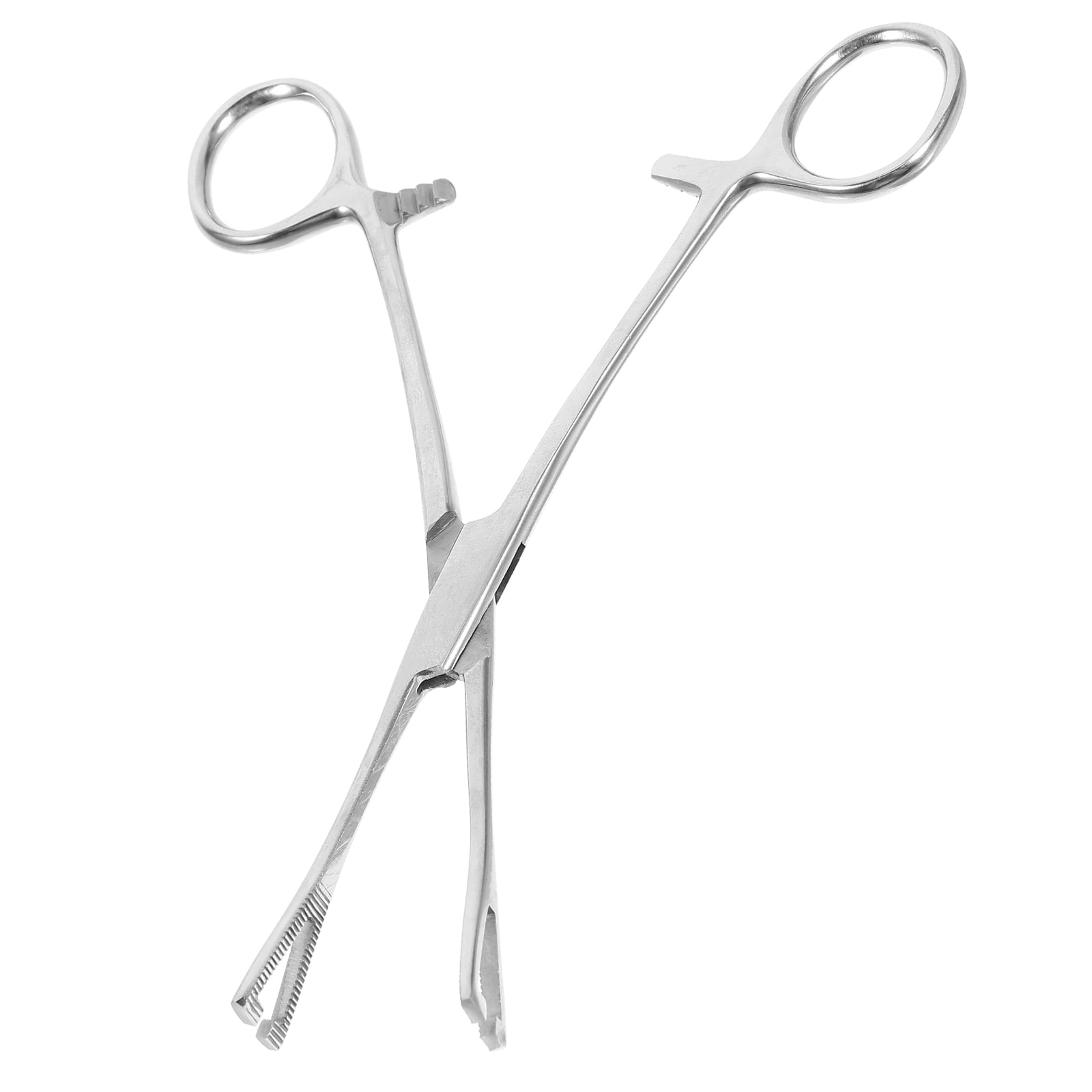 Stainless Steel Feeding Tong Ergonomic Reptile Food Tong Aquarium ...