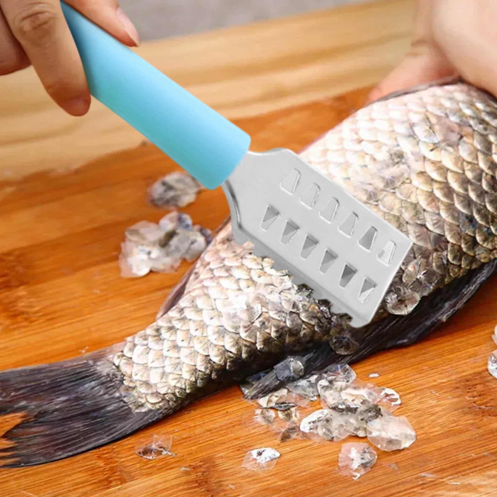 Stainless Steel Fish Scale Remover | Manual Fish Scaler Scraper Tool | Ergonomic Handle | Rust ...
