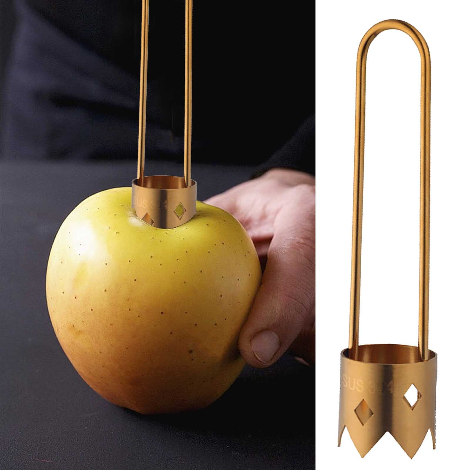 Stainless Steel Fruit and Vegetable Corer, Pitting Tool for Apple ...