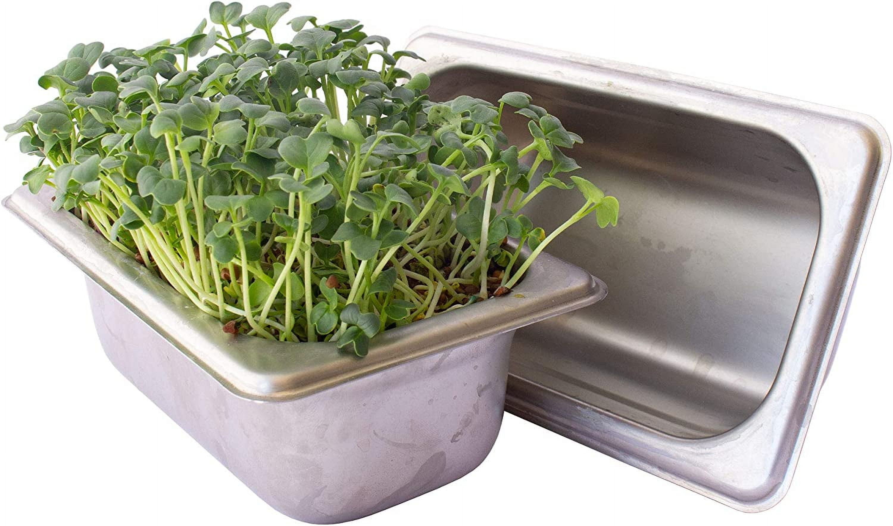 Stainless Steel Hydroponic Microgreens Growing Kit - 2 Pack ...