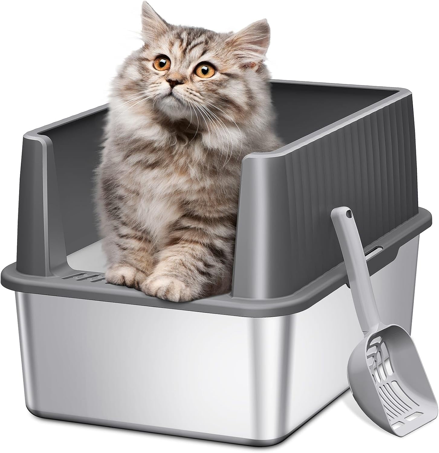 Stainless Steel Litter Box for Kittens, Small Cat Litter Box 17" L x 13 ...
