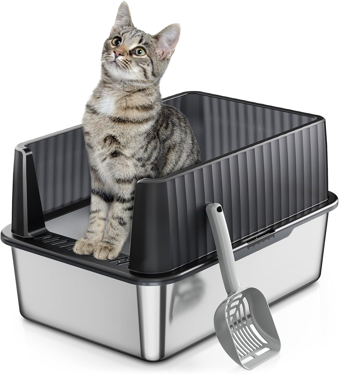 Stainless Steel Litter Box for Kittens, Small Cat Litter Box 17" L x 13 ...