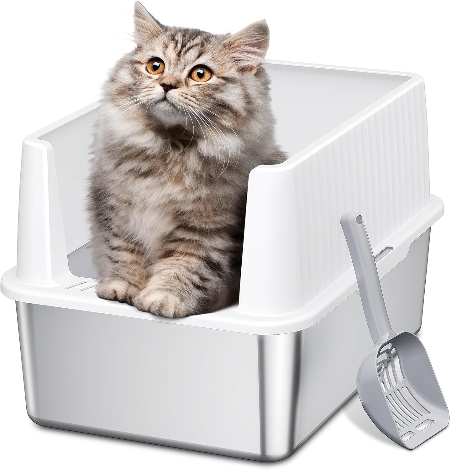 Stainless Steel Litter Box Small, Kitten Litter Box with High Sides 17 ...