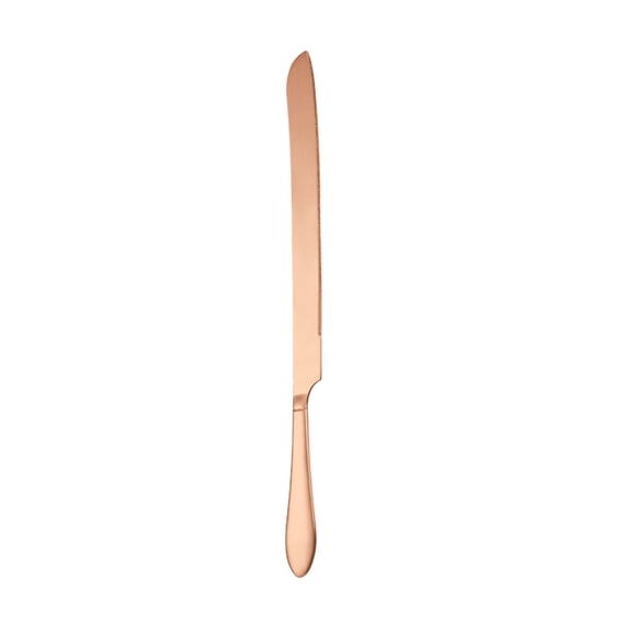 Stainless Steel Long Handle Bread Knife with Sharp and Durable Design ...
