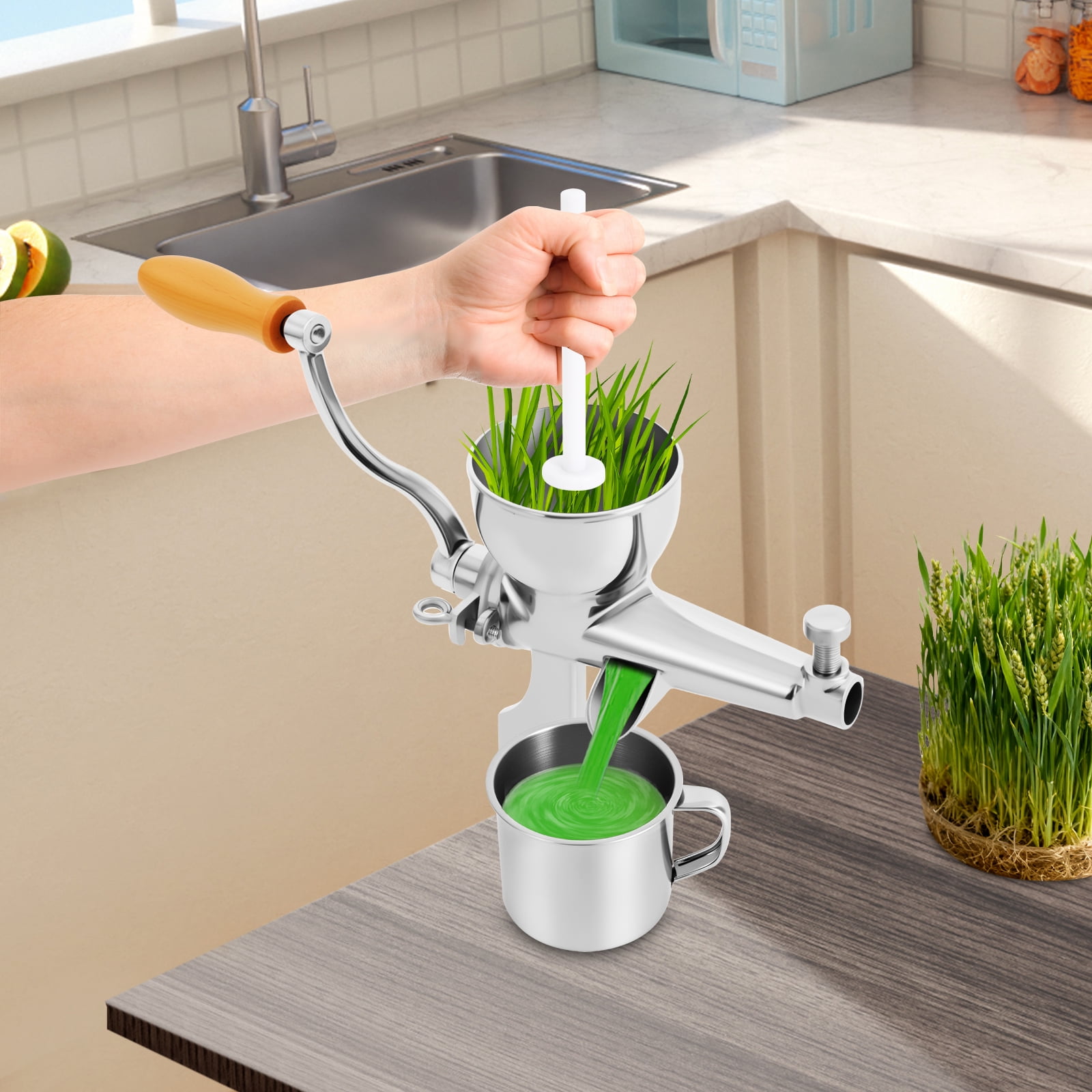 Stainless Steel Manual Juicer for Wheatgrass, Fruits, and Vegetables ...