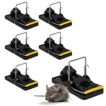RinneTraps Dizzy Dunker Humane Mouse Trap Made in the USA 5 Gallon ...