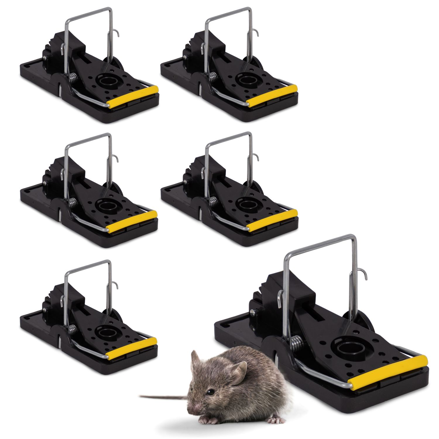 RinneTraps Dizzy Dunker Humane Mouse Trap Made in the USA 5 Gallon ...