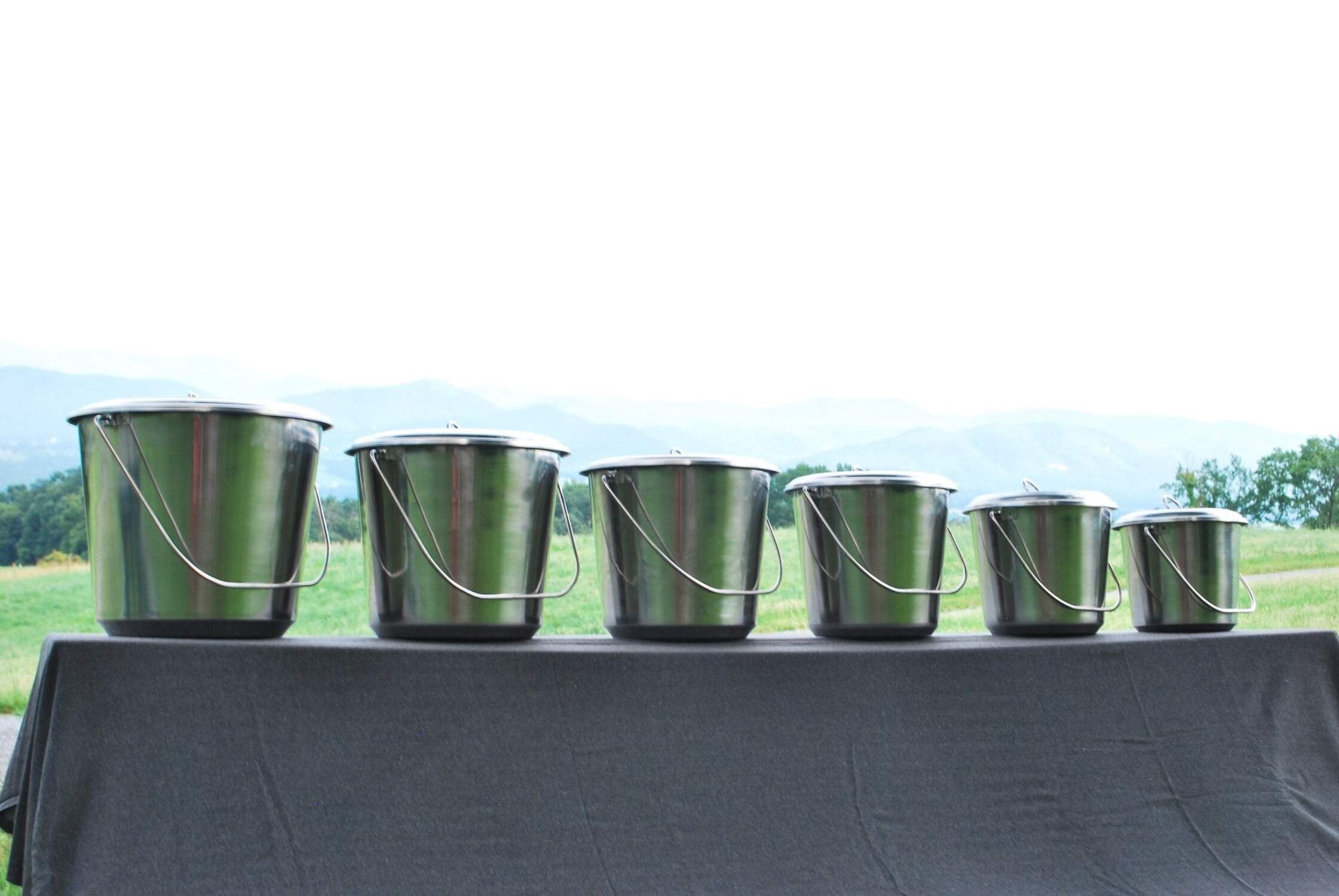 Stainless Steel Milk Pail Bucket with Lid & Handle - Walmart.com