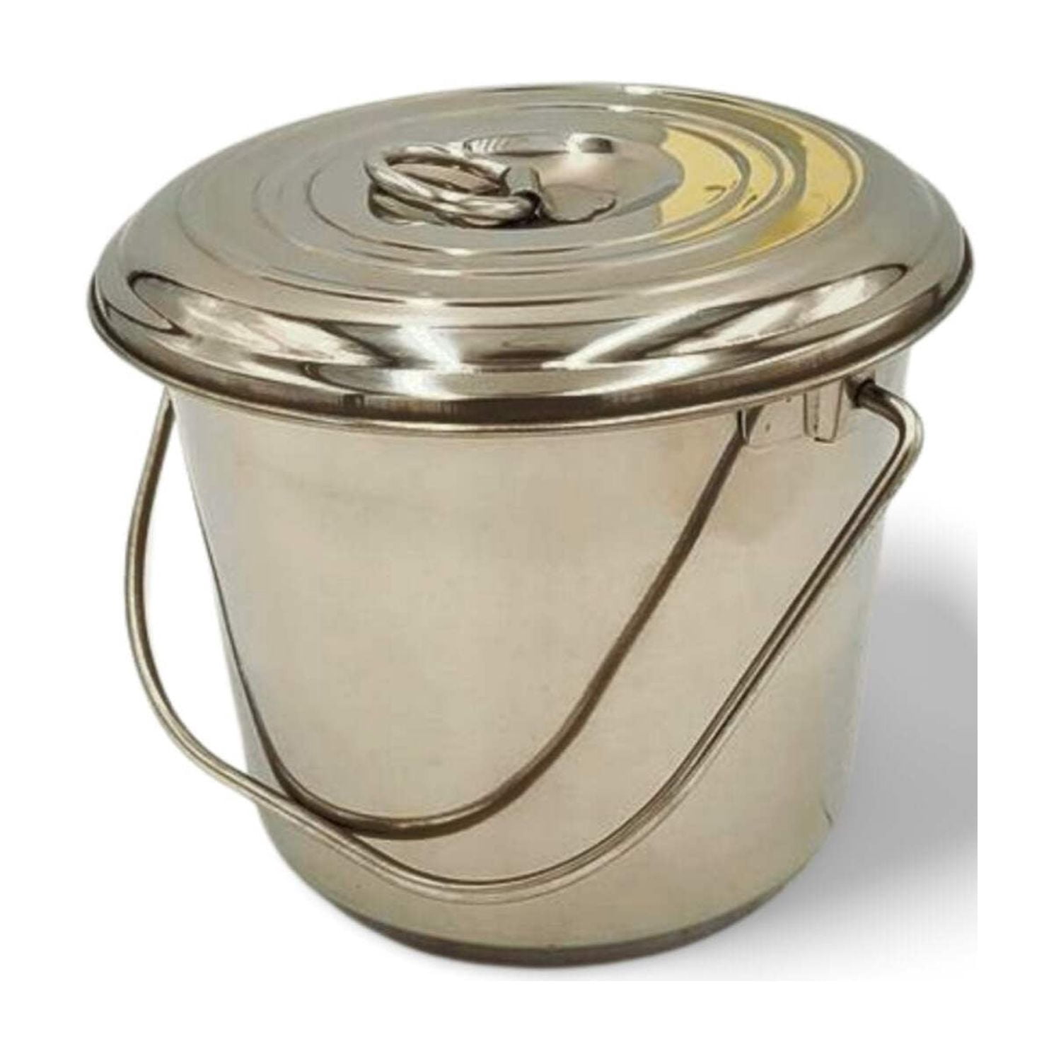 Stainless Steel Milk Pail Bucket with Lid & Handle - Walmart.com