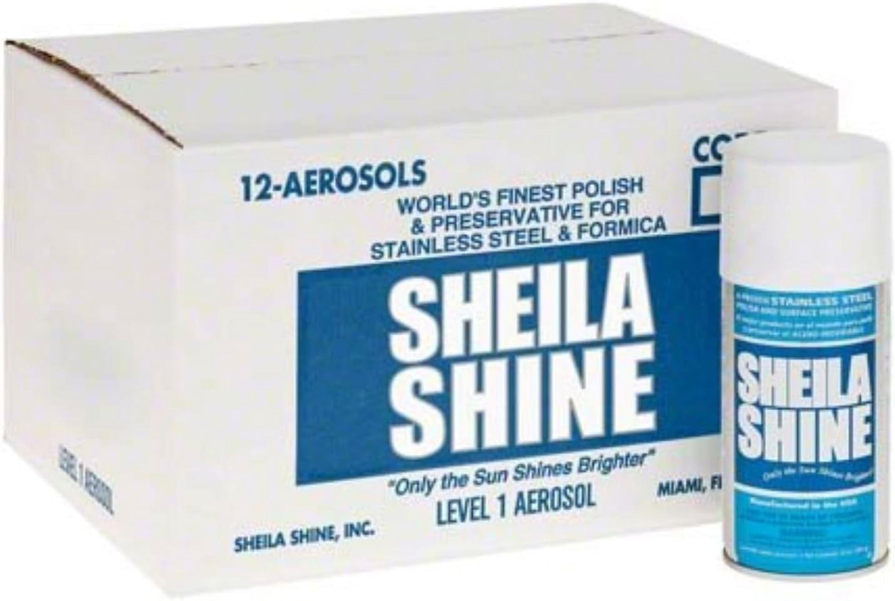 Stainless Steel Polish Cleaner | 12 x 10 oz Aerosol Spray Can| s ...