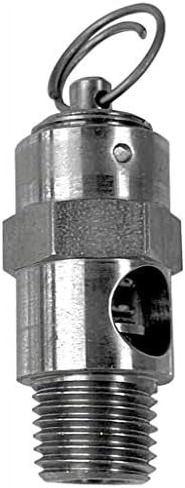Stainless Steel Safety Relief Valve ASME, UV, NB, 100 PSI Set Pressure ...