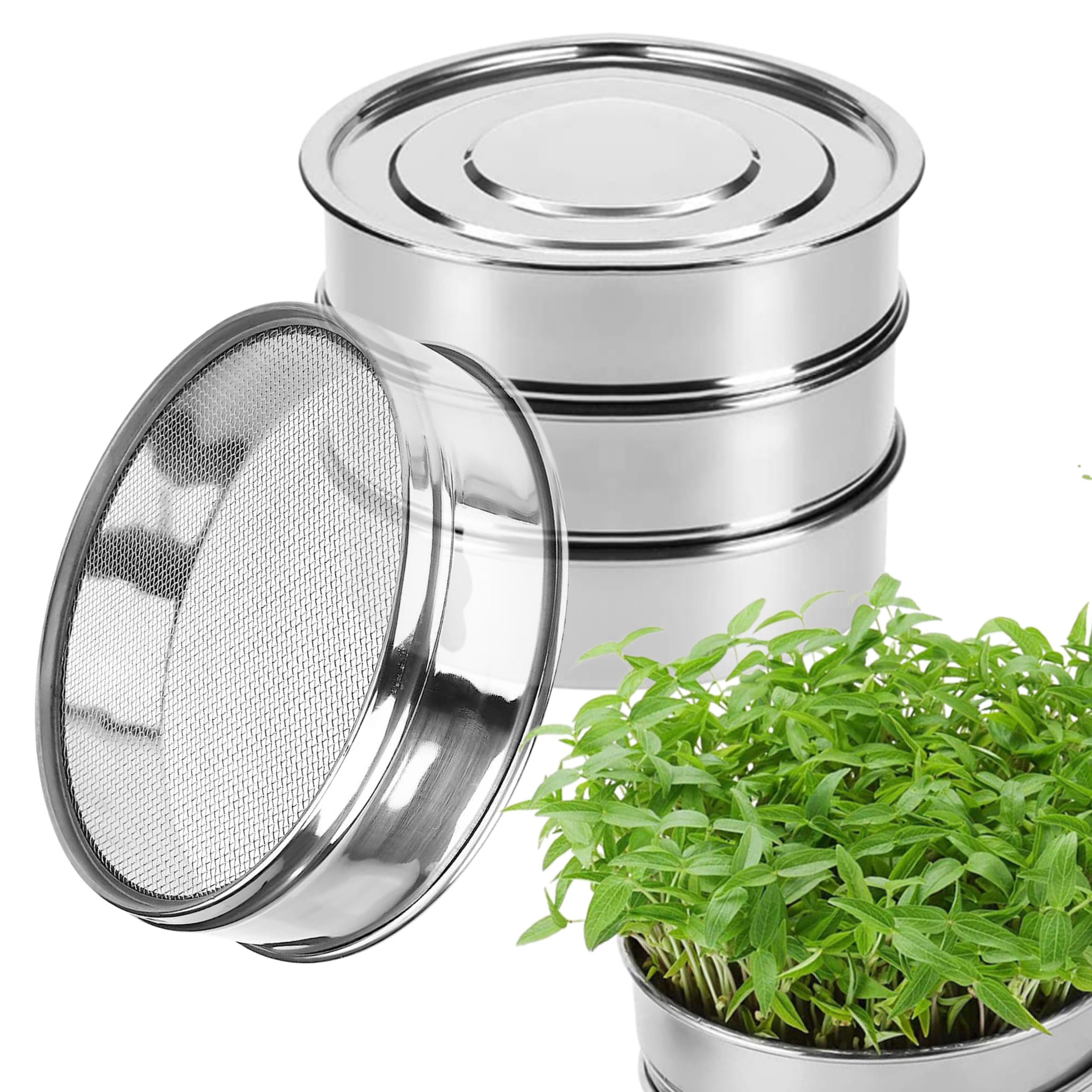 Golden Treasure Pepper,seeds AJH3 (Capsicum annuum) Italian heirloom ...