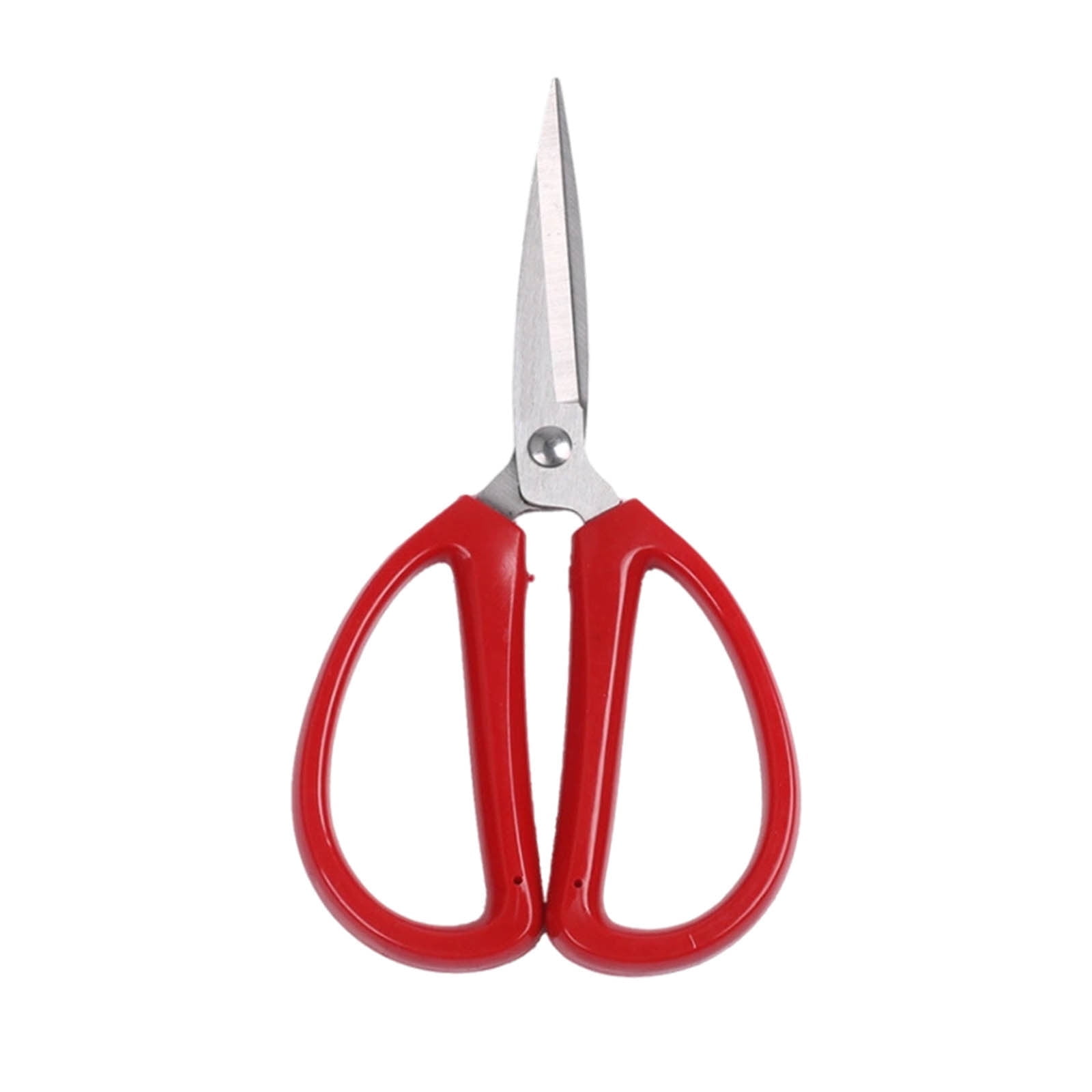Stainless Steel Small Scissors for Office,Study & DIY-Sharp Pointed ...