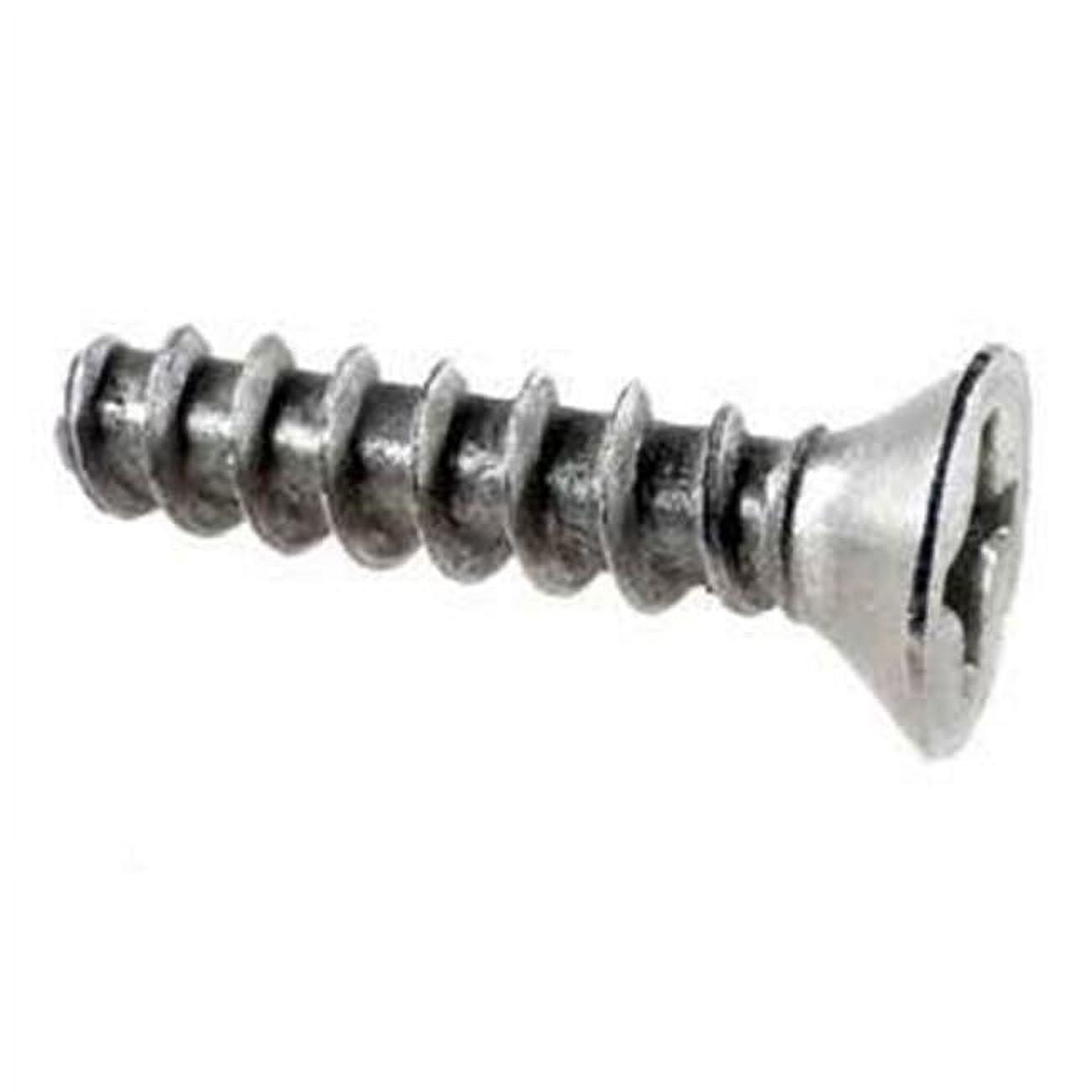 Stainless Steel Standard Face Plate Screw - Walmart.com