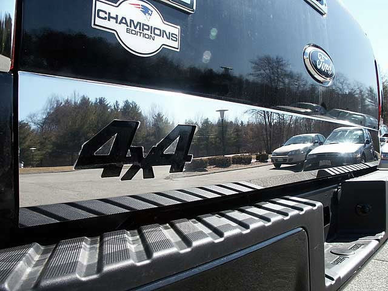 Stainless Steel Tailgate Accent 1Pc Fits 2004-2014 Ford F-150 RT44309 ...