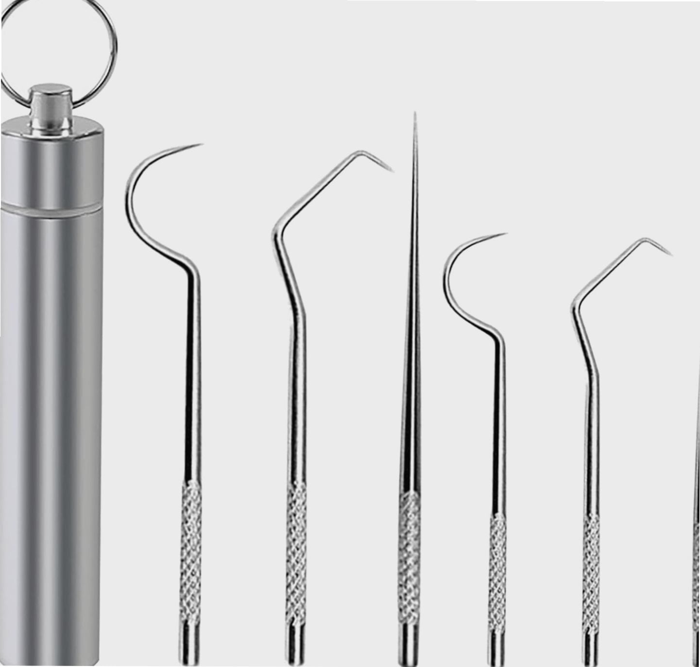 Stainless Steel Toothpick Set, Portable Metal Toothpick with Key Ring ...