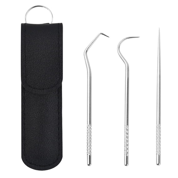 Stainless Steel Toothpick Set - Reusable Portable Tooth Cleaning Tools ...