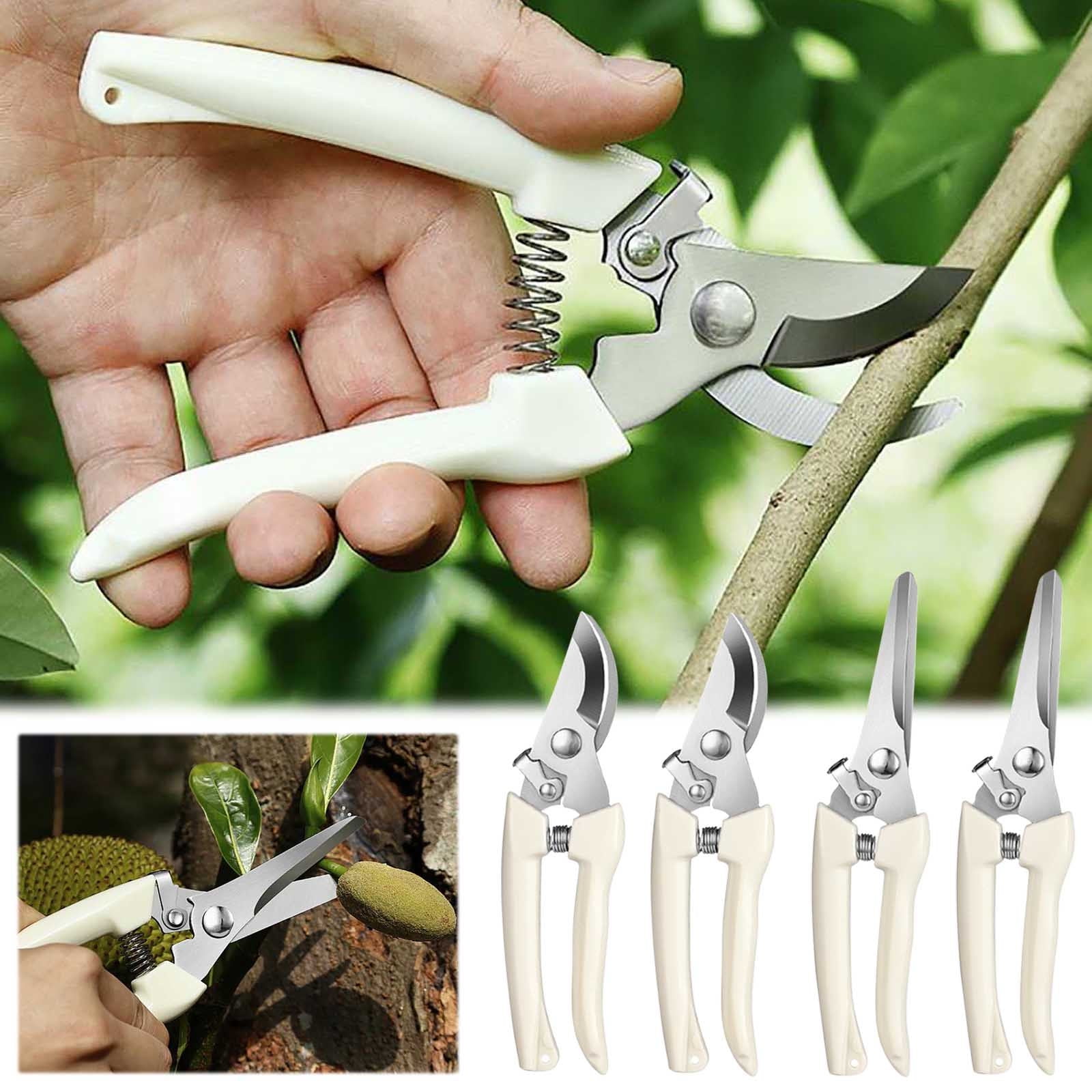 Stainless Steel Tree Pruning Scissors Set | High Carbon Blades ...