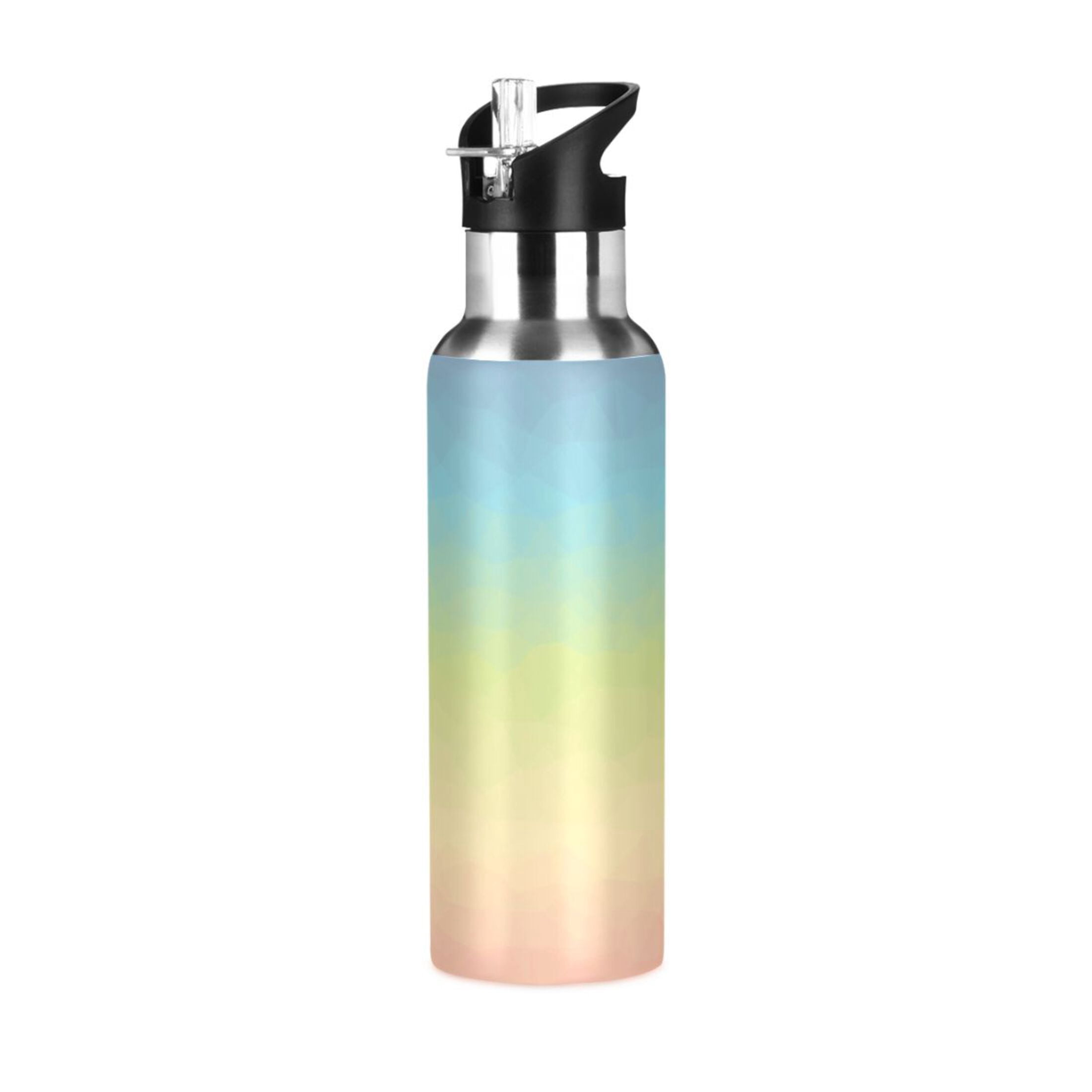 Stainless Steel Water Bottle Rainbow Gradient with Straw Lid Vacuum ...