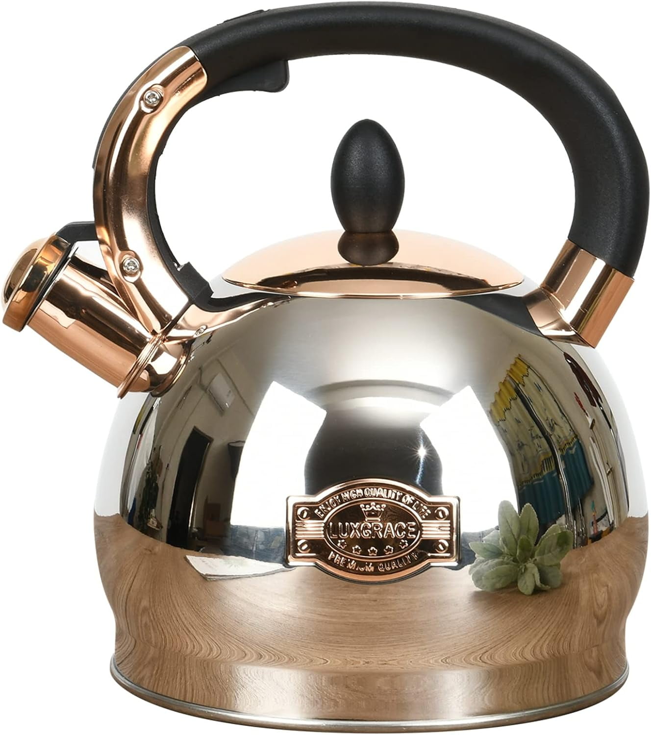 Stainless Steel Whistling Tea Kettle with Metal Capsulated Bottom for ...