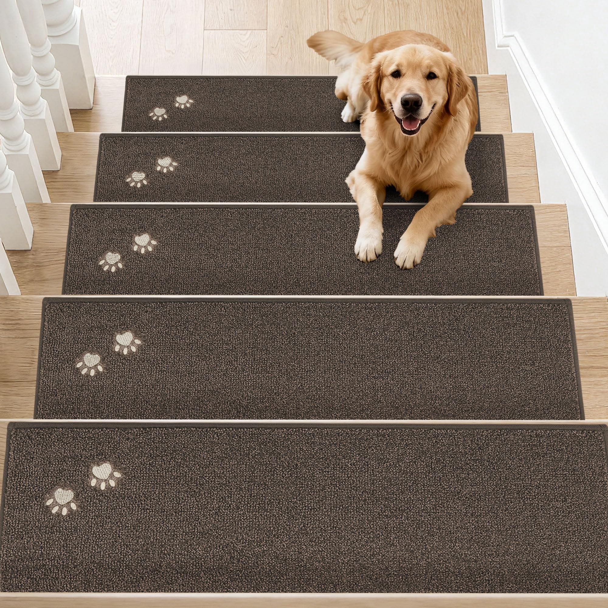 Stair Treads For Dogs