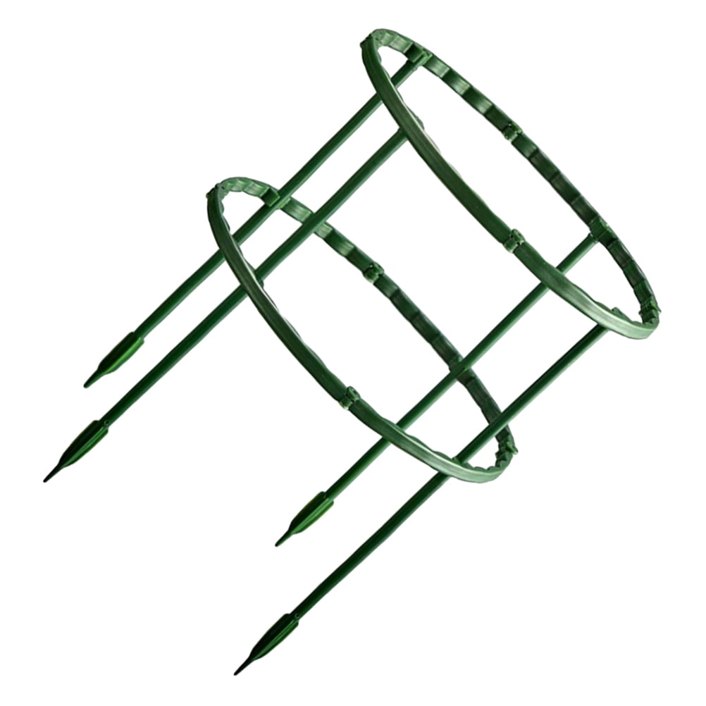 Stake Plant Stakes Climbing Bracket Stand for Plants Trellis Vine ...