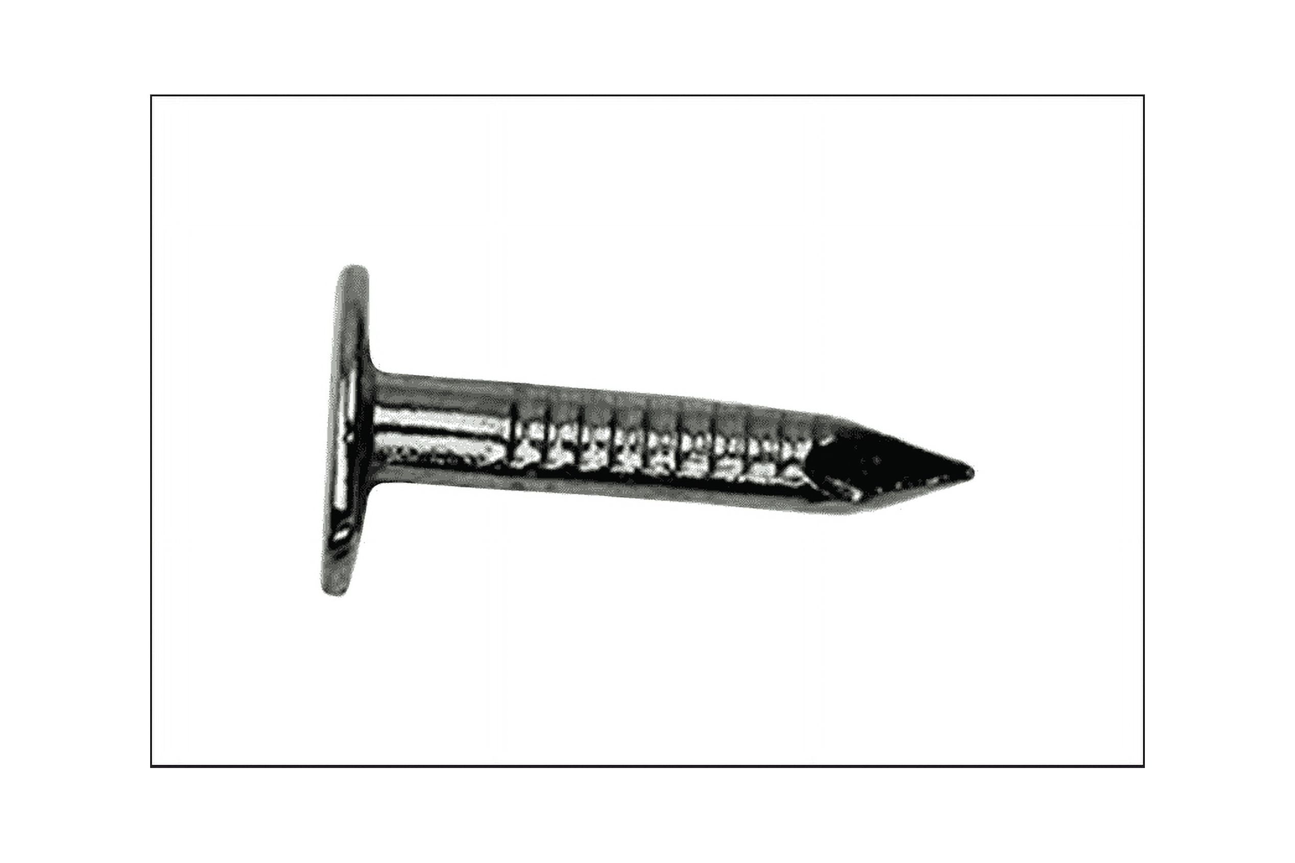 Stallion 1-1/4 in. L Roofing Steel Nail Large Head Barbed Shank 1090 pk ...