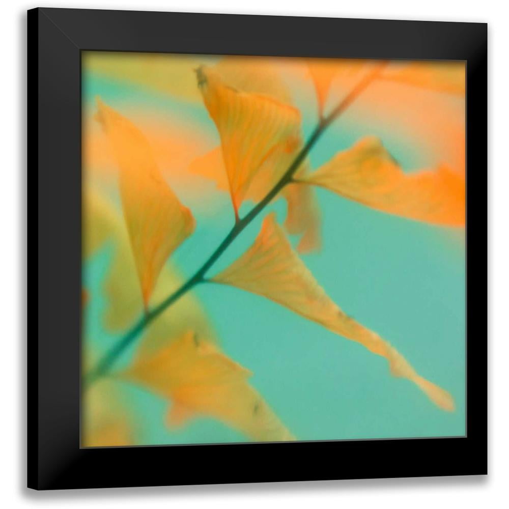 Stalus, Judy 15x15 Black Modern Framed Museum Art Print Titled - Fern ...