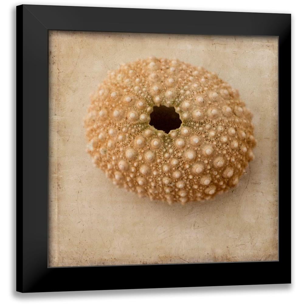 Stalus, Judy 15x15 Black Modern Framed Museum Art Print Titled - Sepia ...