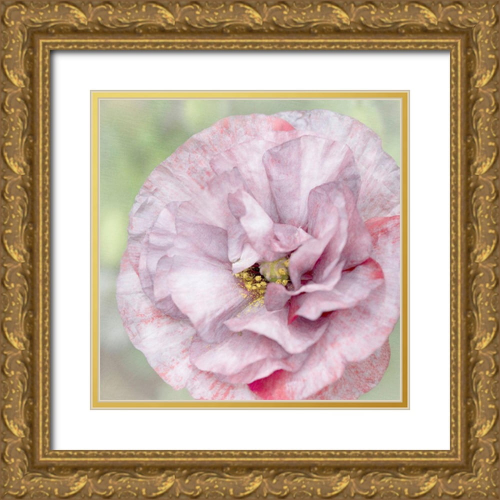 Stalus, Judy 15x15 Gold Ornate Wood Framed with Double Matting Museum ...