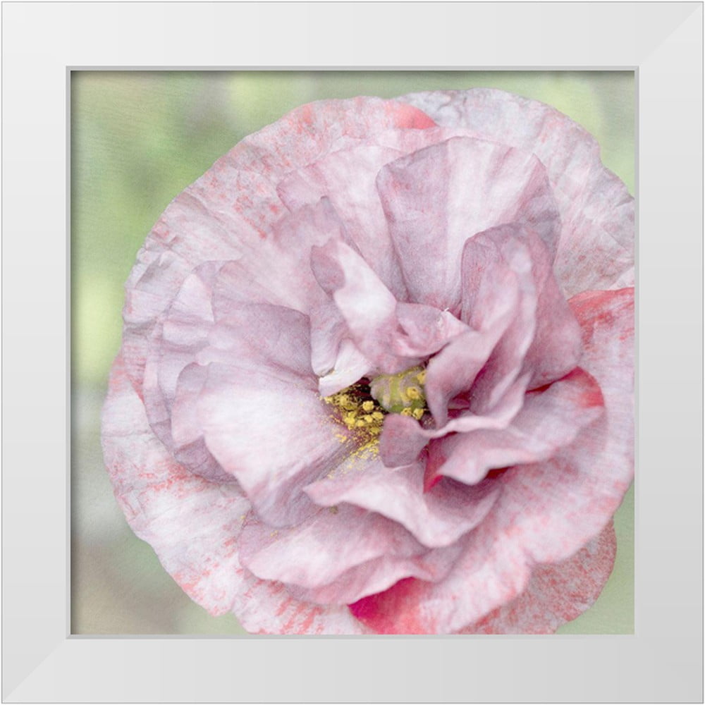 Stalus, Judy 15x15 White Modern Wood Framed Museum Art Print Titled ...