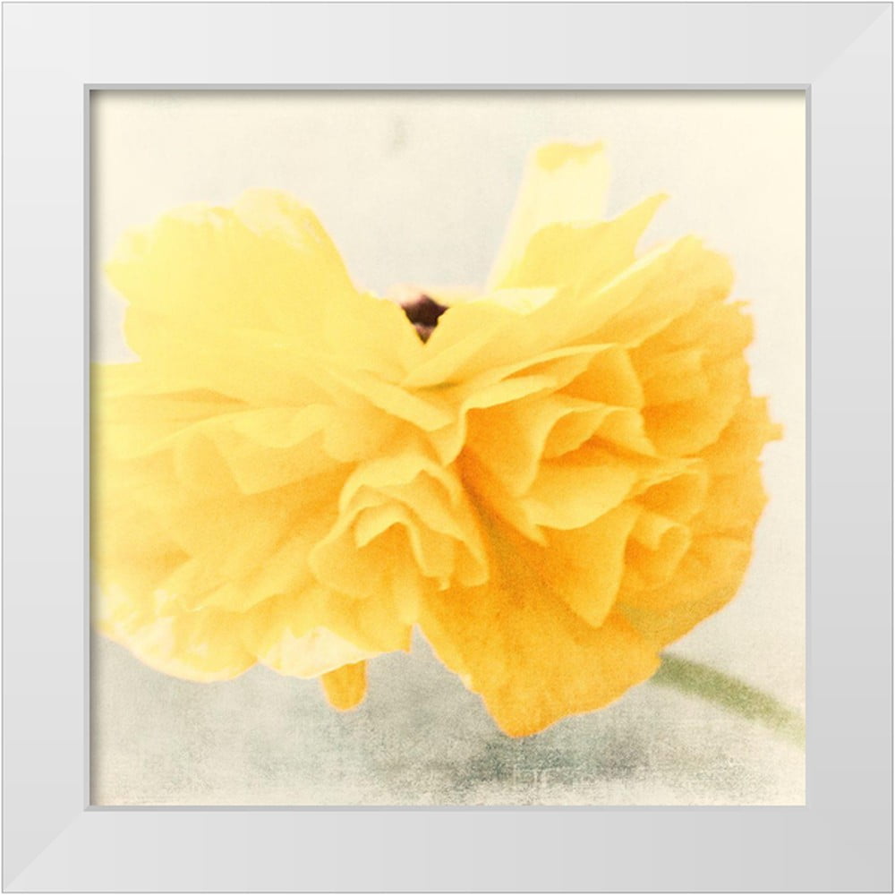 Stalus, Judy 15x15 White Modern Wood Framed Museum Art Print Titled ...