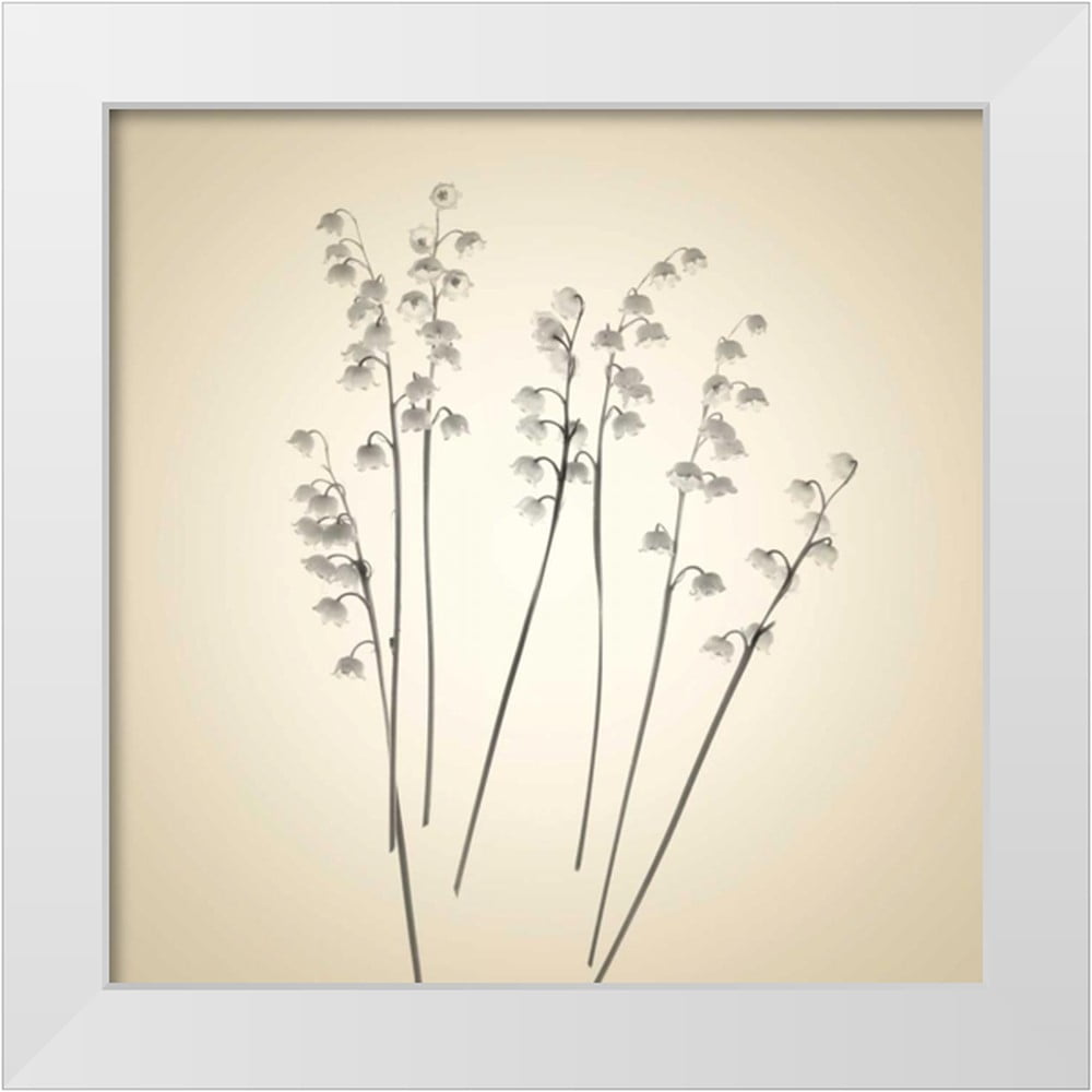 Stalus, Judy 20x20 White Modern Wood Framed Museum Art Print Titled ...