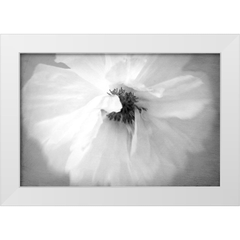 Stalus, Judy 32x23 White Modern Wood Framed Museum Art Print Titled ...