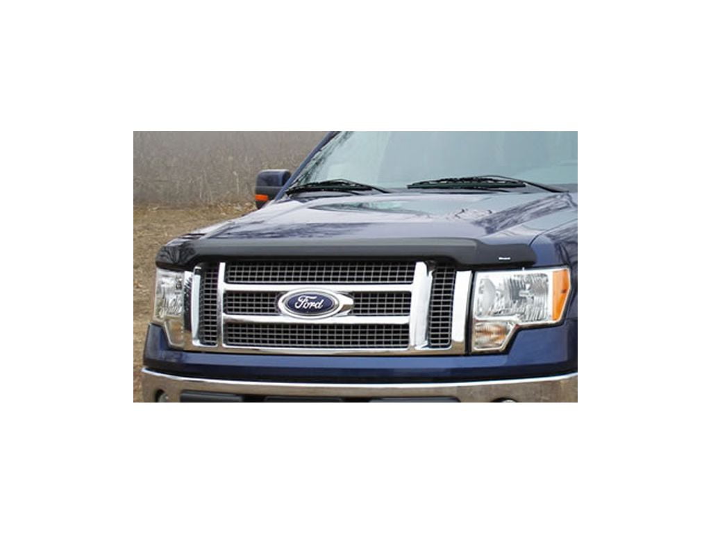 Stampede 2149-2 Vigilante Premium Smoke Bug Shield Hood Protector for ...