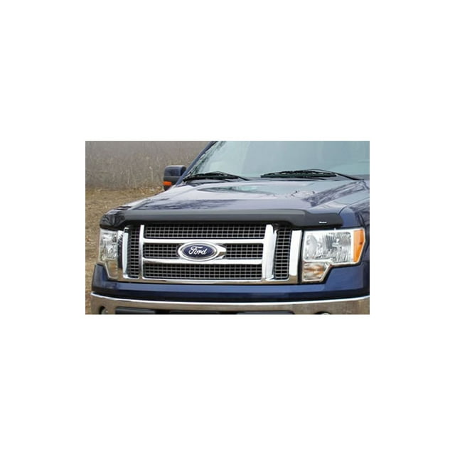 Stampede 2149-2 Vigilante Premium Smoke Bug Shield Hood Protector for ...