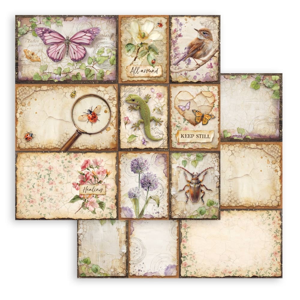 Stamperia All Around Double-Sided Cardstock 12"x12"-Mixed Cards ...