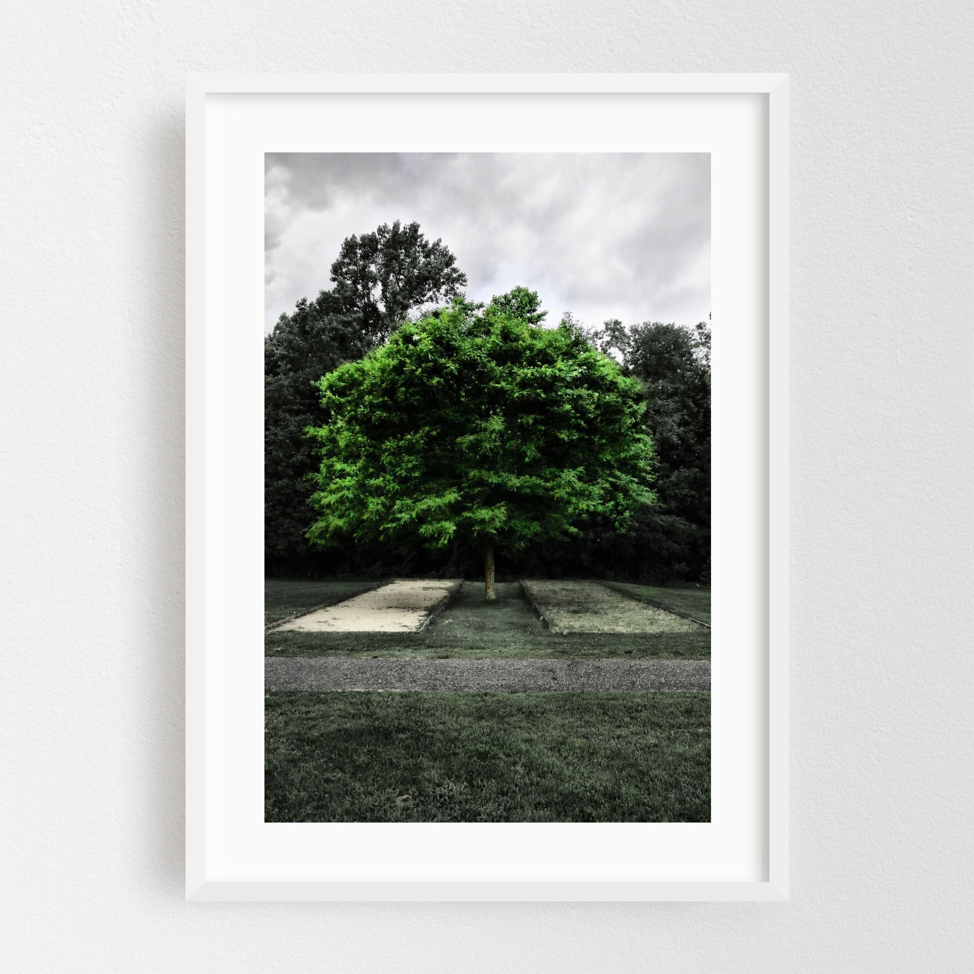Couldn't Stand to be Alone Without You - New Jersey Photography Nature ...