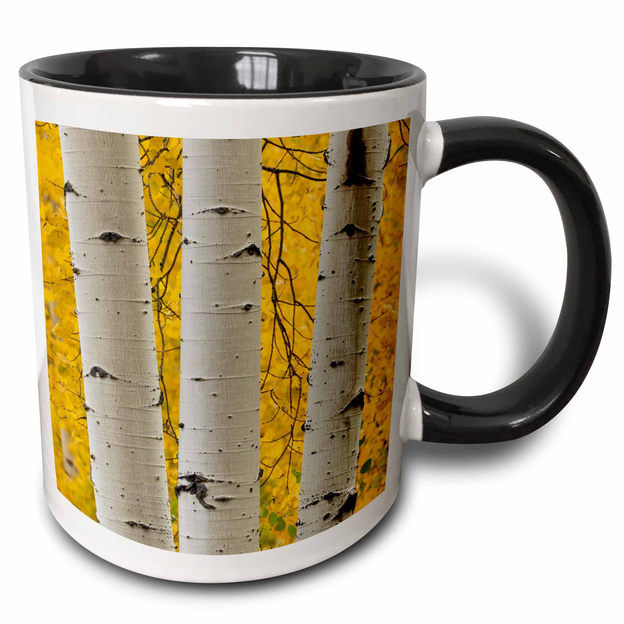 3drose, Stand of Aspen Trees in Fall Color, Uncompahgre Nf, Colorado ...