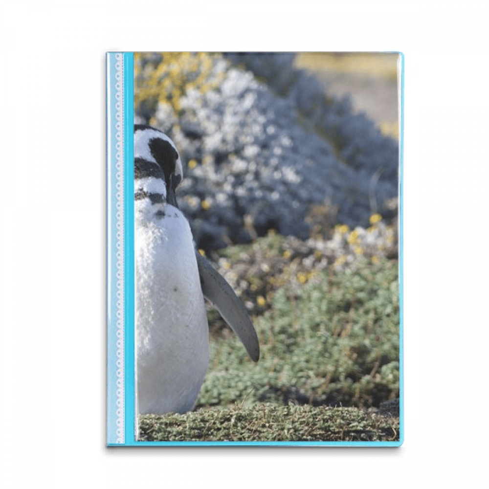 Stand Southern Penguin SpheniscidaePicture Book Sheet Protectors ...