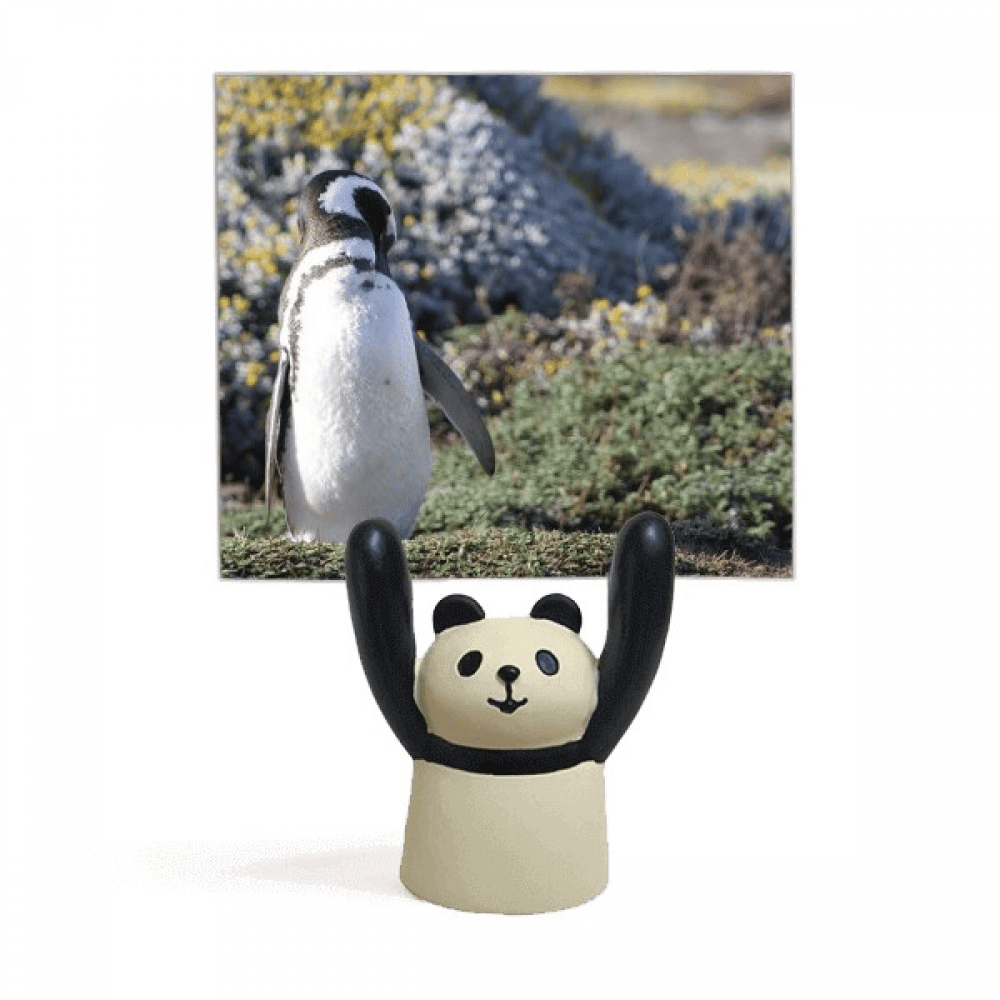 Stand Southern Penguin SpheniscidaePicture Memo Holder Cartoon Animal ...