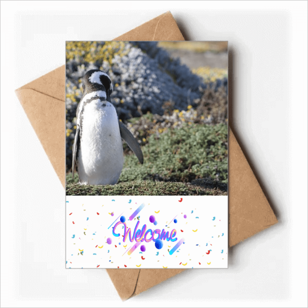 Stand Southern Penguin SpheniscidaePicture Welcome Back Greeting Cards ...