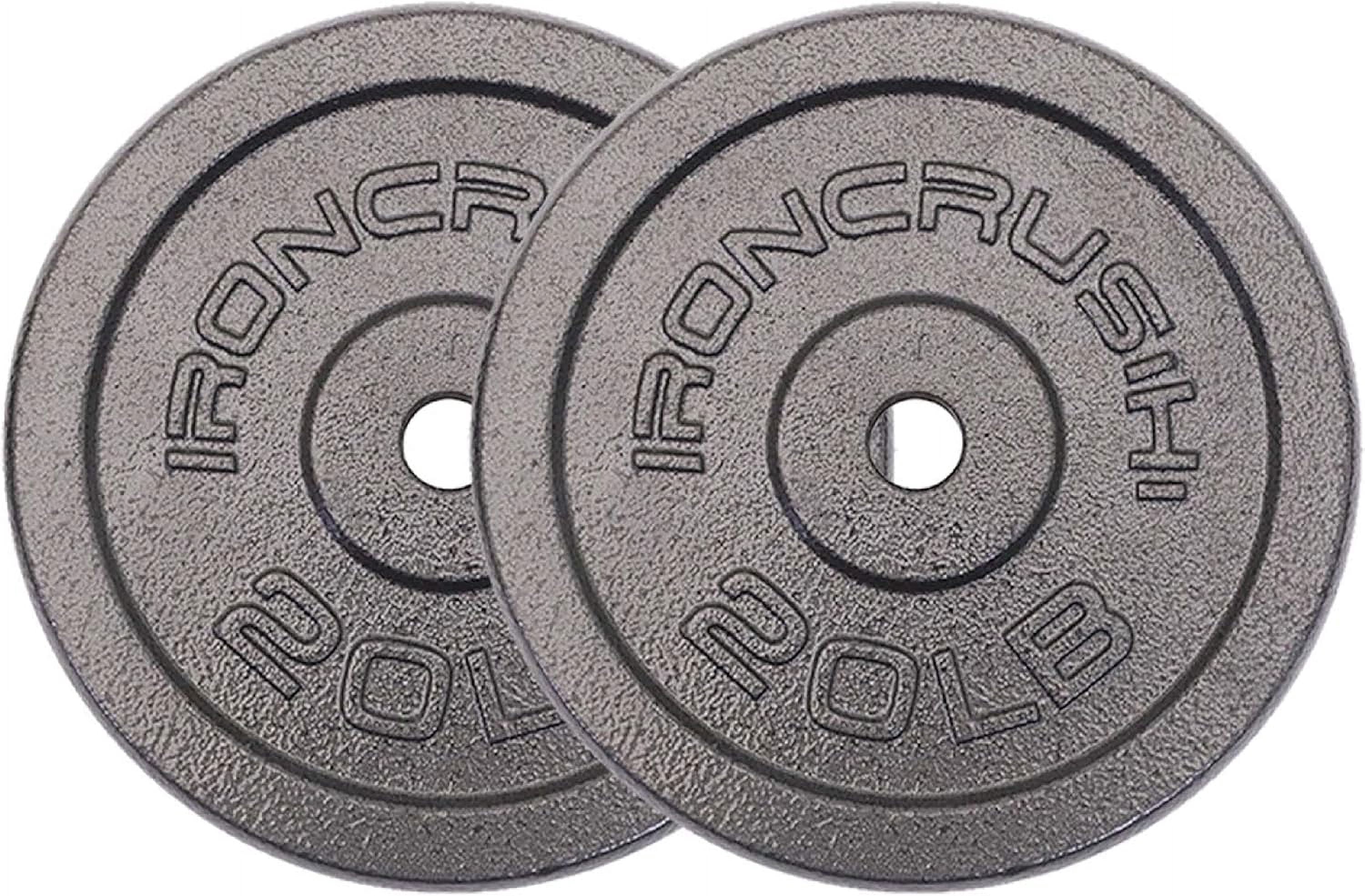 Standard 1 inch Cast Iron Weight plates - Superior Hammertone Finish ...