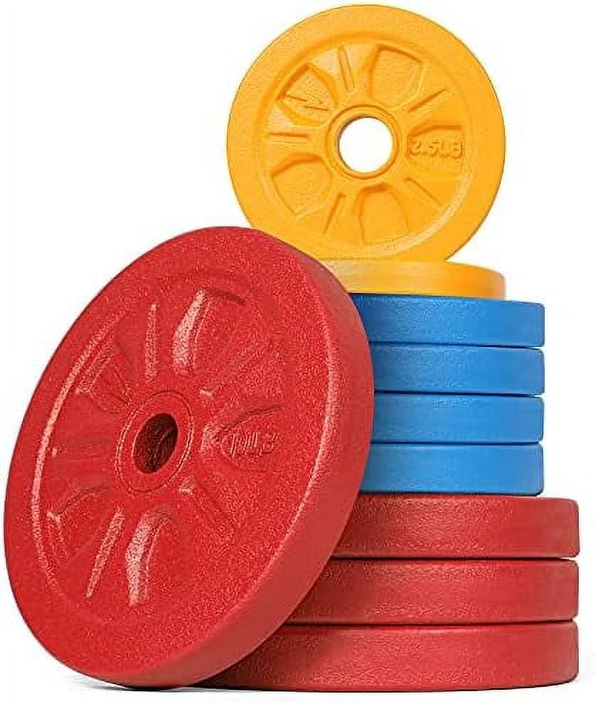 Standard 1-inch Solid Steel/Cast Iron Weight Plate Set 60-65 Lbs for ...