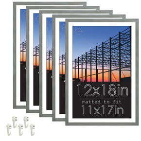 Picture Frames 12 X 18