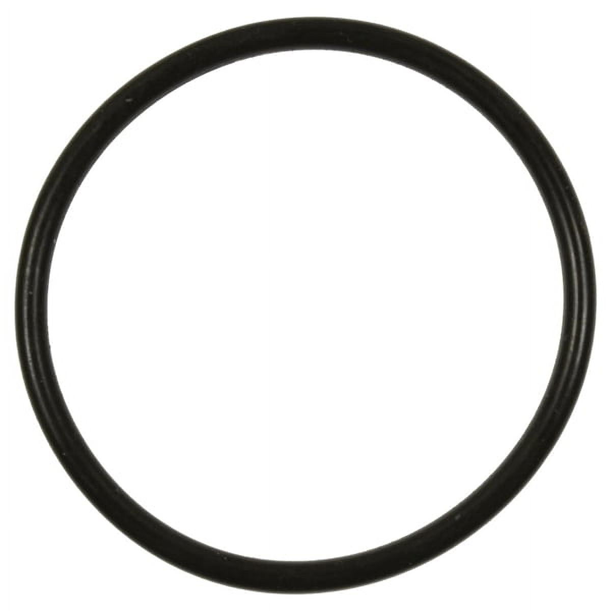 Standard Import Fuel Pump O-Ring - Walmart.com