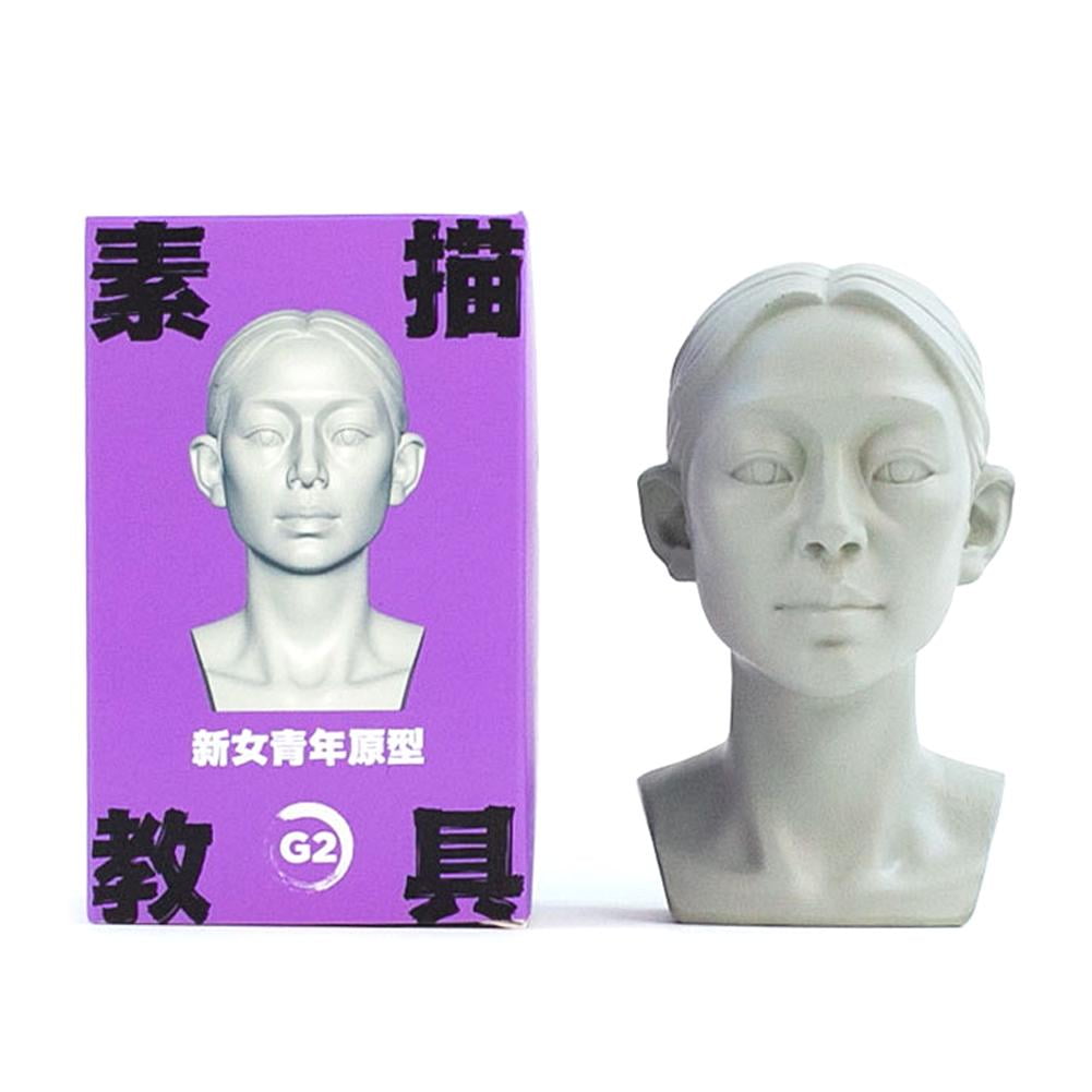Standard Planar Head Model for Artists, Women Men Human Manikin Head ...