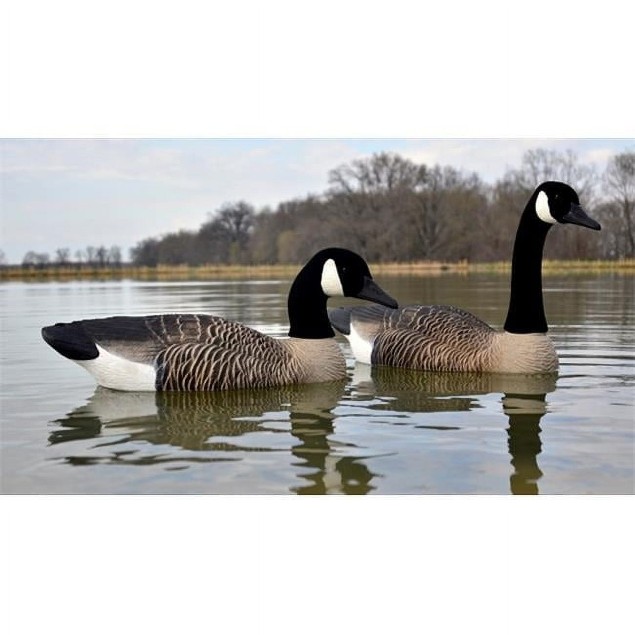 Standard Size Goose Floater - Canada - 4 Pack - Walmart.com